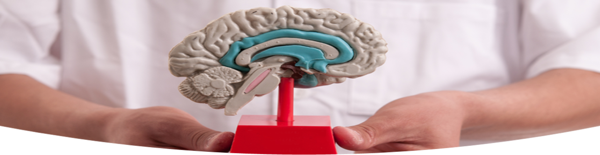 General Neurology | Neurological Conditions Treatment Philadelphia PA